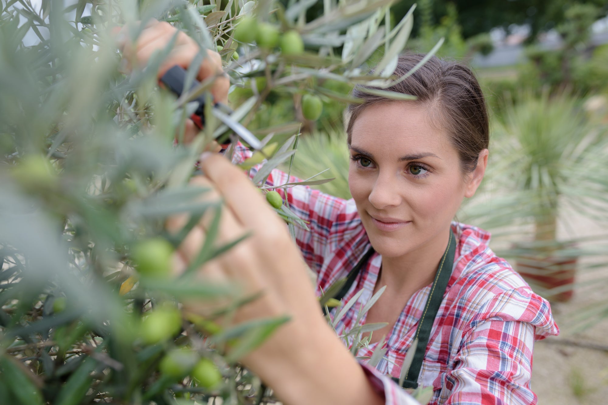 knowhow – Arundel Arboretum