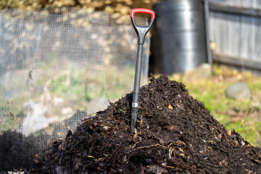 What is Ericaceous compost? – Arundel Arboretum