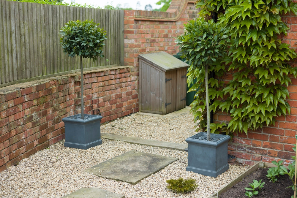 By Feature - Patio | Planter – Arundel Arboretum