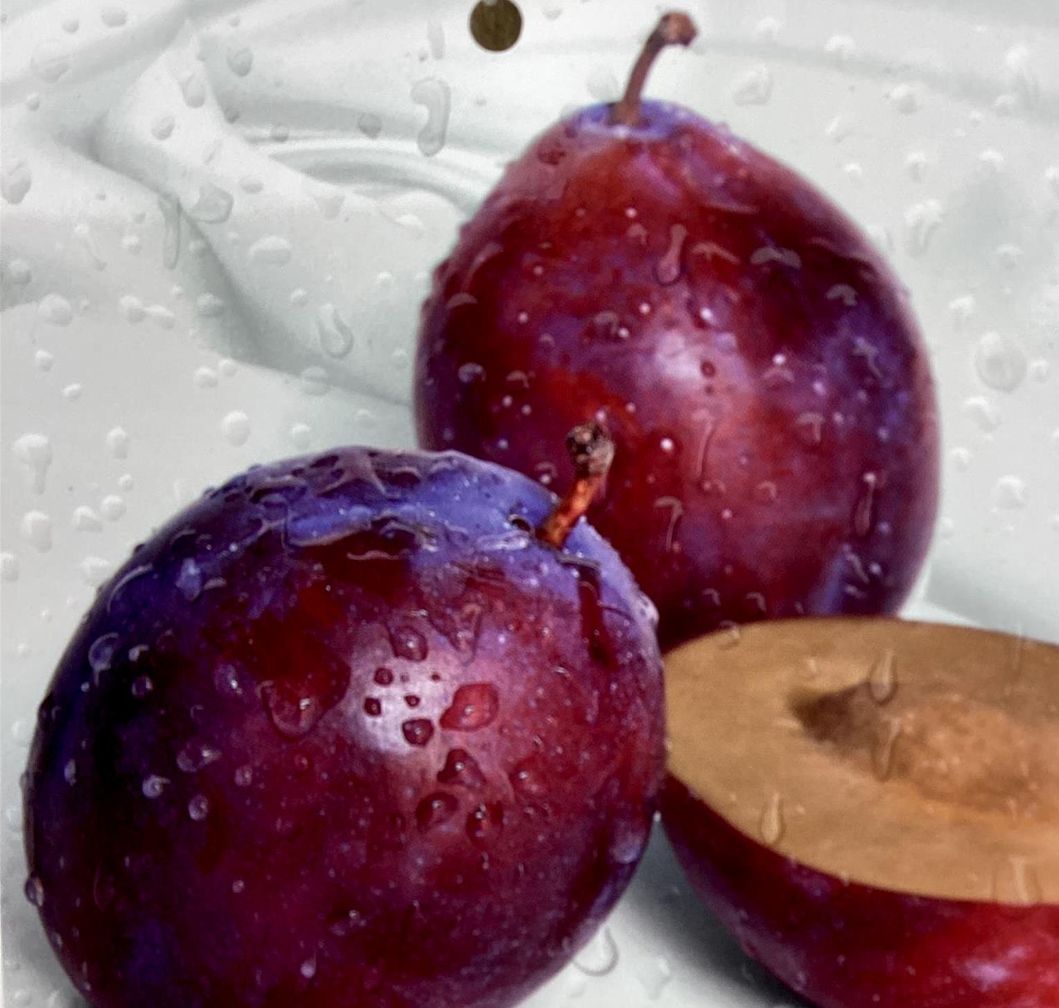 Plum tree 'President' | Prunus domestica - 100-120cm - 10lt – Arundel ...