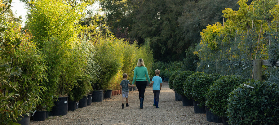 Visit Arboretum | Arundel Arboretum