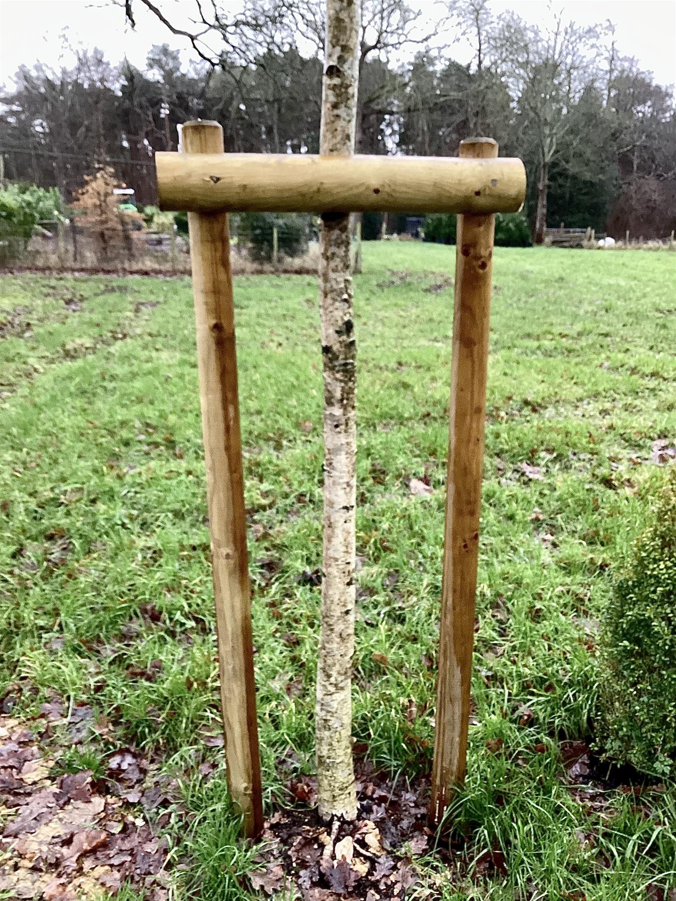 Tree Kit – Arundel Arboretum